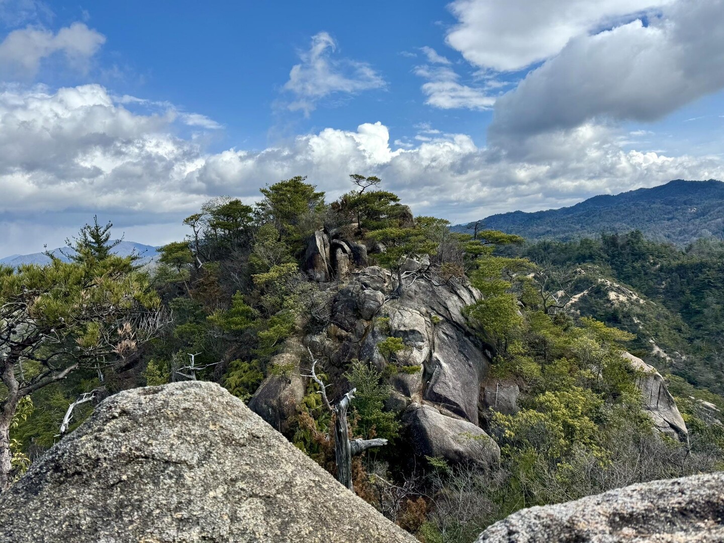 湖南アルプス・堂山 / Sa_kkiyさんの湖南アルプス（太神山・堂山）の活動データ | YAMAP / ヤマップ