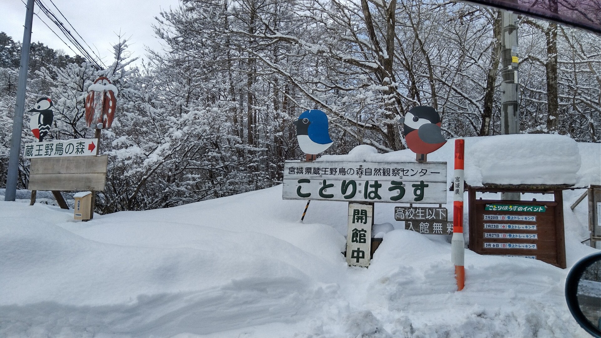 宮城県蔵王野鳥の森自然観察センター こと... / しーぽんPさんのモーメント | YAMAP / ヤマップ