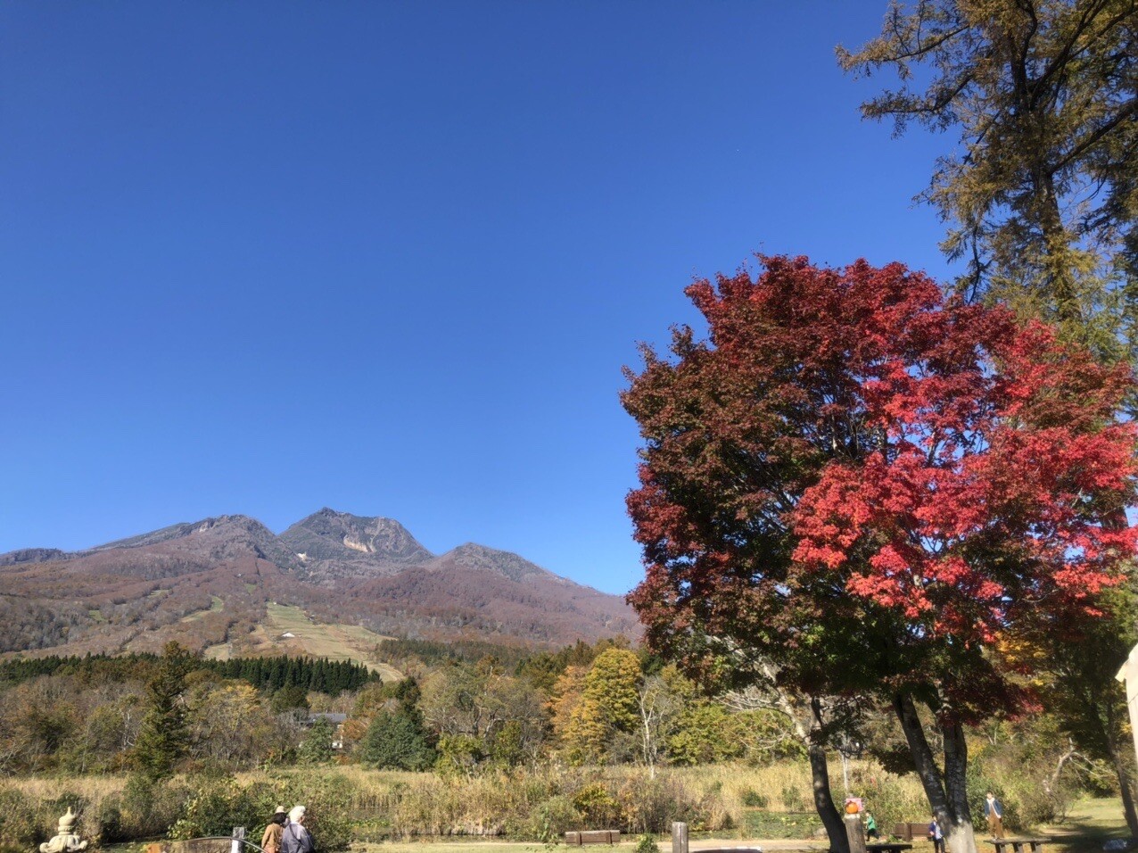 本日のお題は「紅葉🍁」とのことで… 去... / 森のクマさんのモーメント | YAMAP / ヤマップ