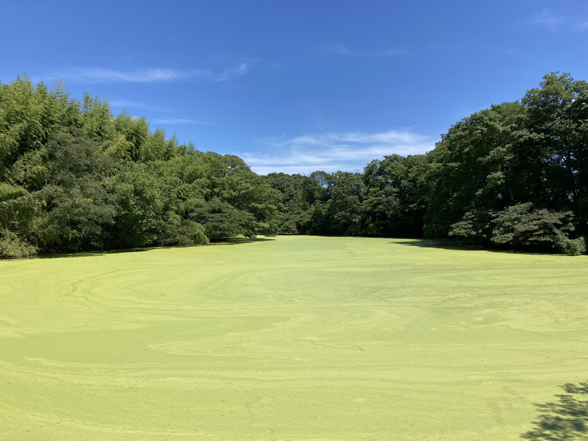 この溜池の色がすごい。 / chiro☘さんのモーメント | YAMAP / ヤマップ