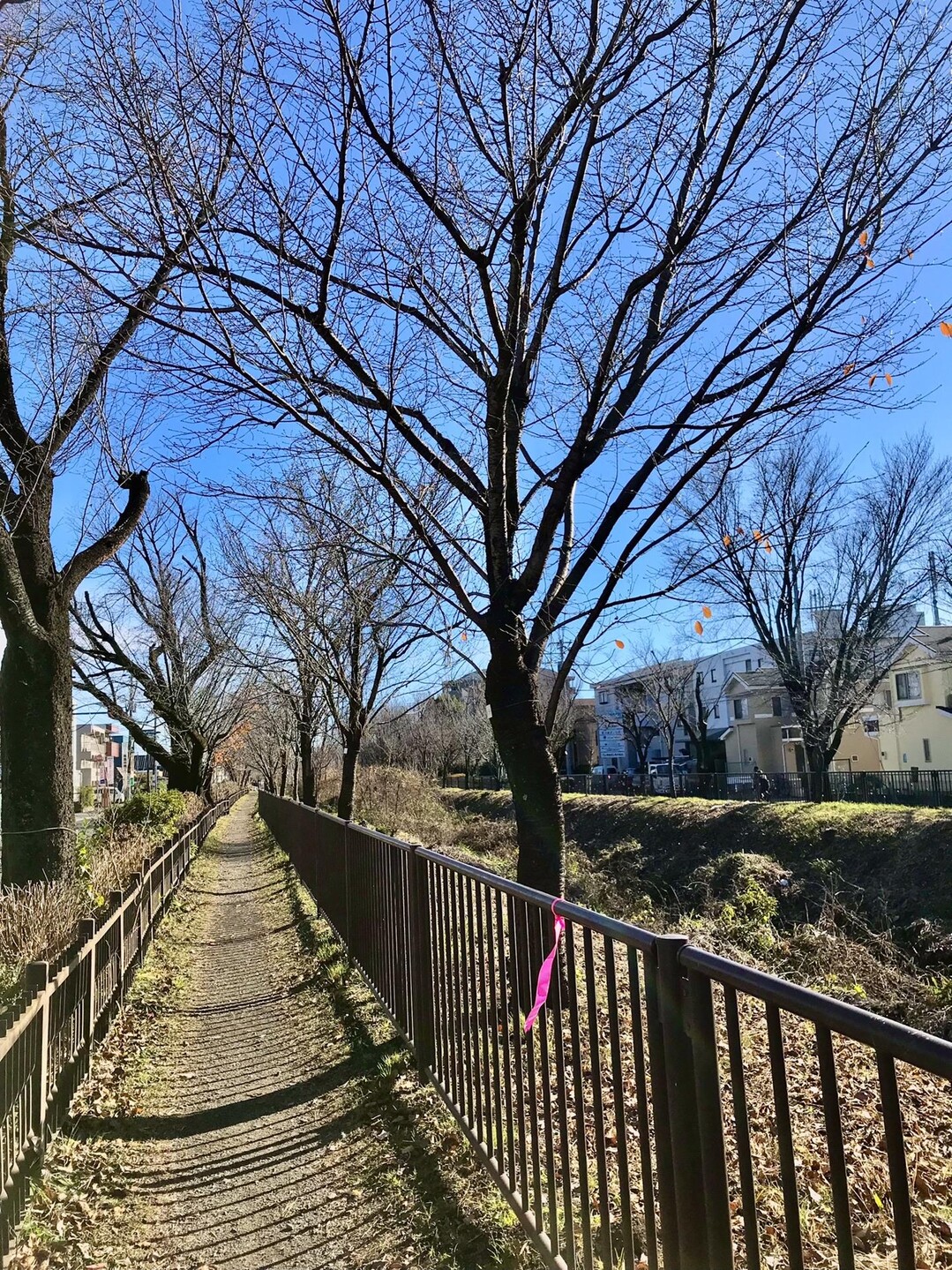 今年の最終週になりました。 好天 🟦☀... / tsukayan👨‍🦳さんのモーメント | YAMAP / ヤマップ