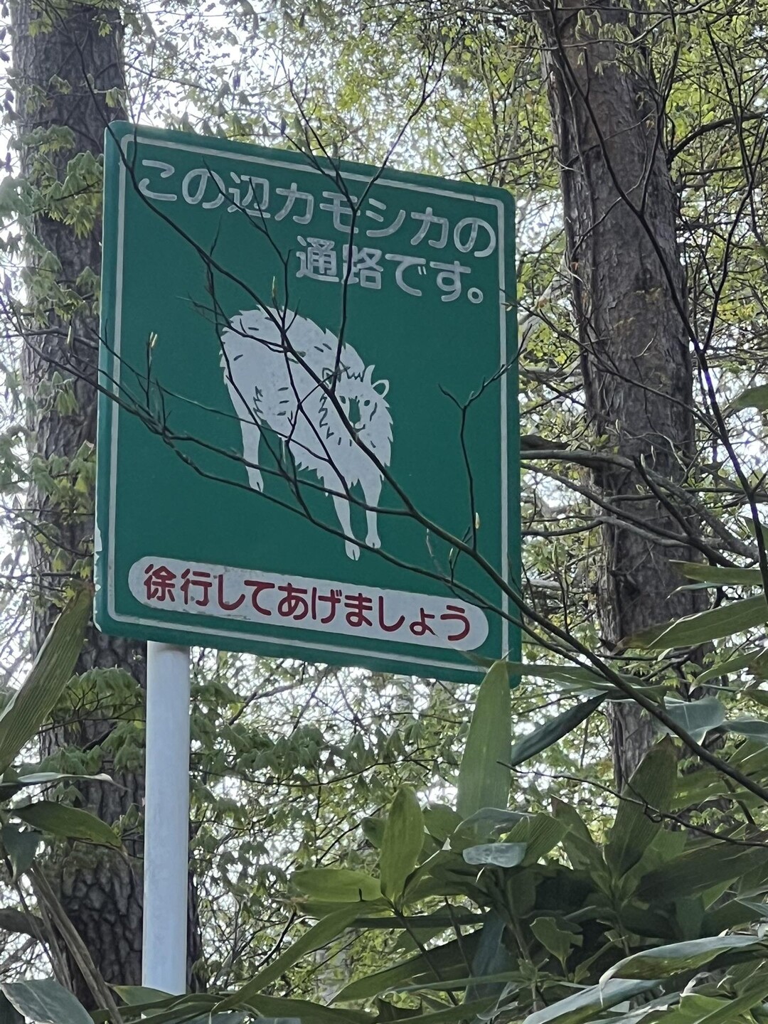 2024.05.02(木) 21:18 / 木の葉の忍さんのモーメント | YAMAP / ヤマップ