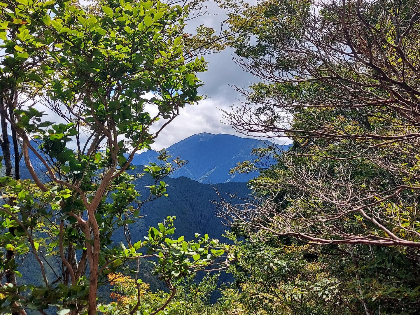 観音峯山 / ree-koさんの観音峯山・大普賢岳・山上ヶ岳・稲村ヶ岳の活動データ | YAMAP / ヤマップ