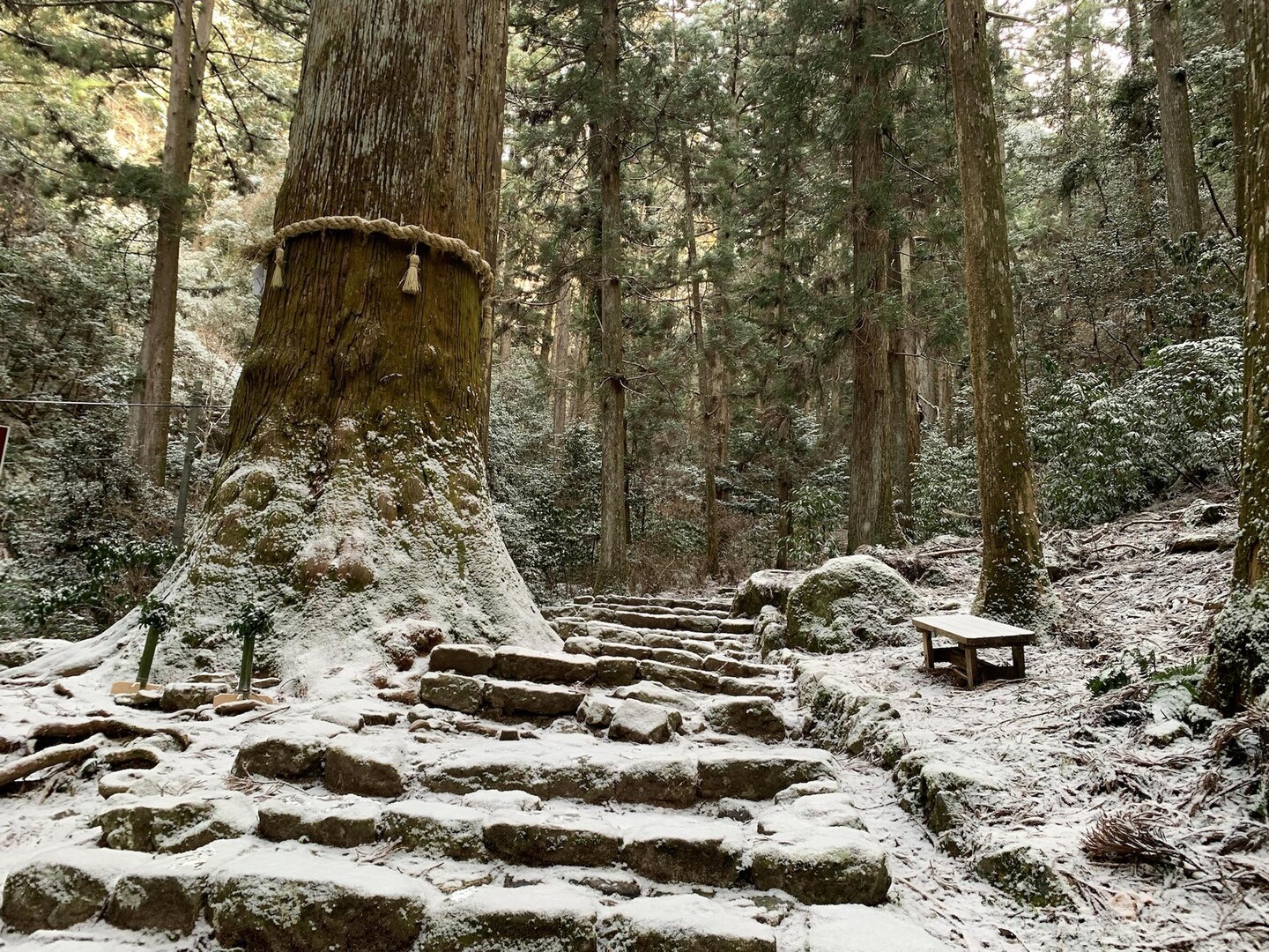 ️鳳来寺山・瑠璃山 ️ / maruさんの宇連山・鳳来寺山・岩古谷山の活動データ | YAMAP / ヤマップ