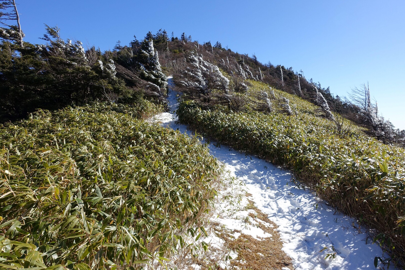 快晴の大川入山 / kamonmonさんの大川入山・横岳の活動データ | YAMAP / ヤマップ