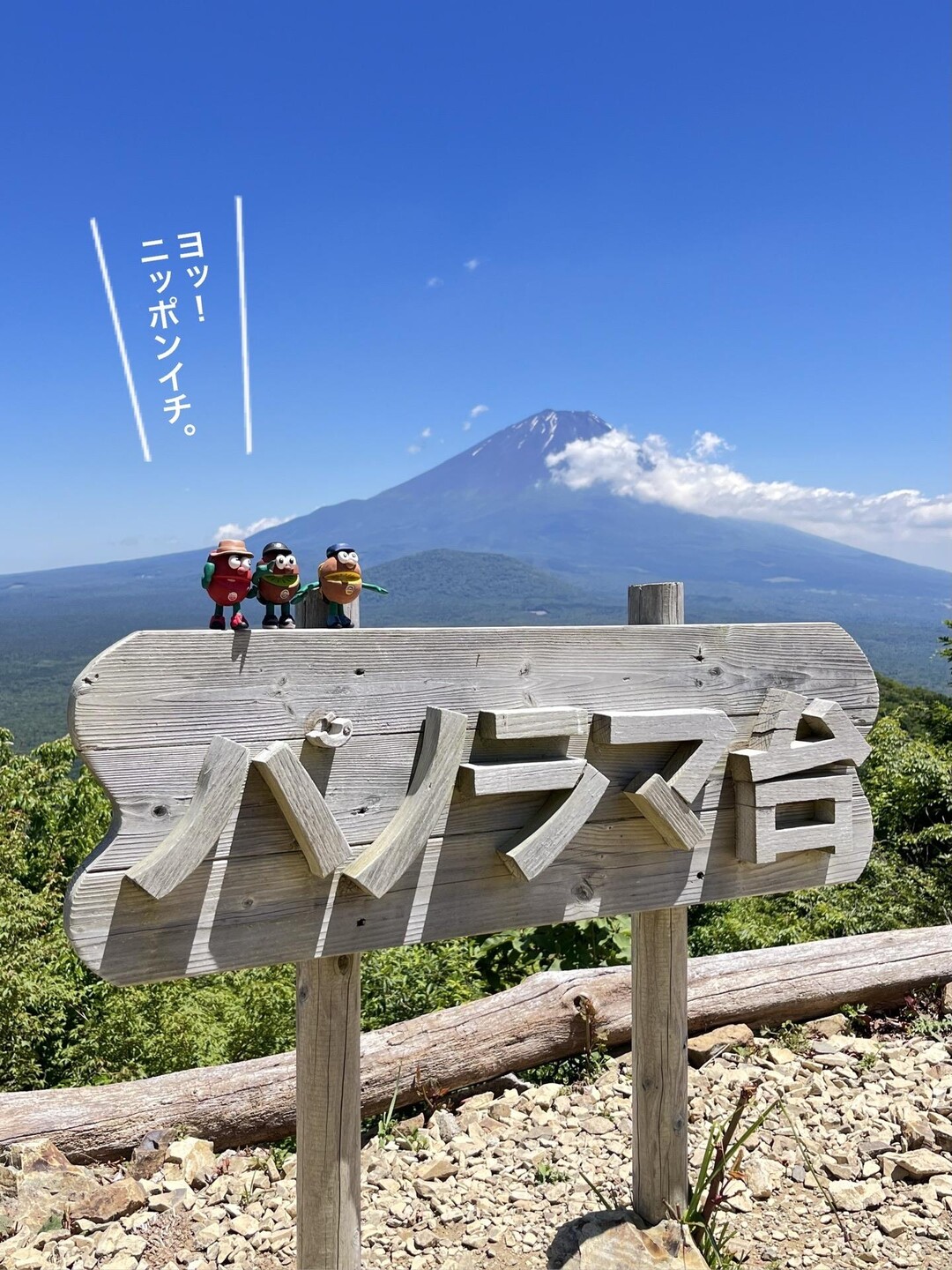 ゼスプリ登山部パノラマ台へ / ゼスプリ（kiyokiyo）さんの三方分山・パノラマ台の活動データ | YAMAP / ヤマップ