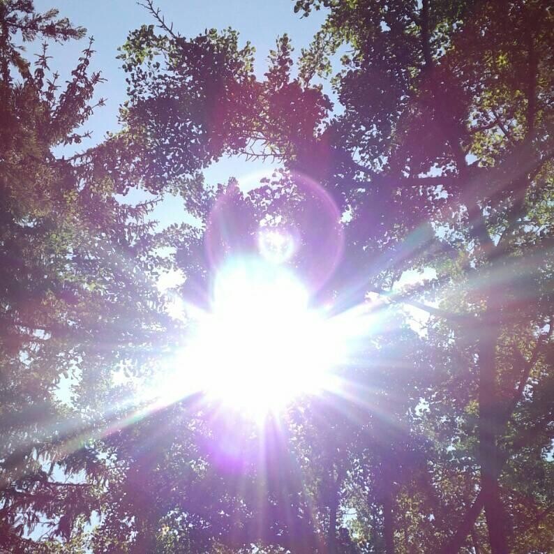 歩ん婆（ayunba）のページ | YAMAP / ヤマップ