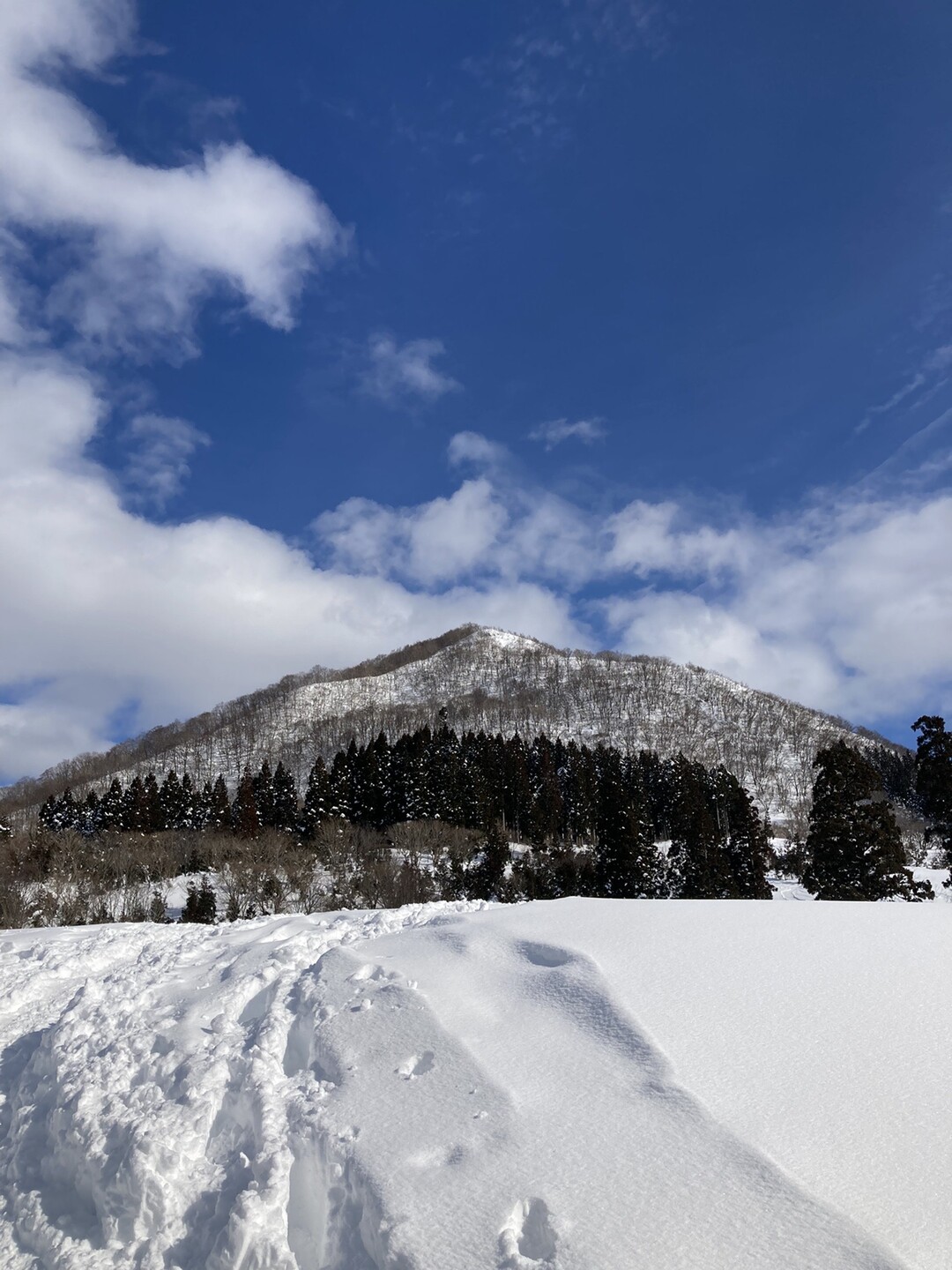 取立山-2022-01-30 / 抹茶さんの取立山の活動データ | YAMAP / ヤマップ