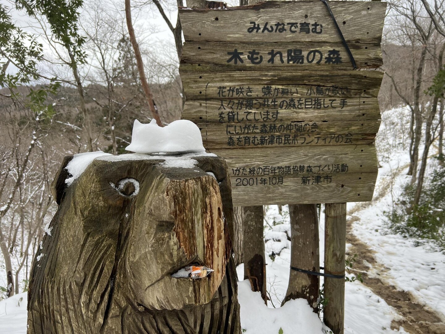 菩堤寺山ᨒ𖡼.𖤣𖥧№1～3 / cocoさんの菩提寺山・高立山・護摩堂山の活動データ | YAMAP / ヤマップ