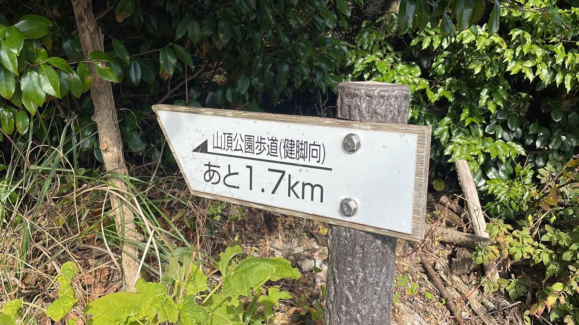 多度山 健脚コース（山頂の子猫😿） / NH-240さんの多度山・美濃松山・石津御嶽の活動日記 | YAMAP / ヤマップ