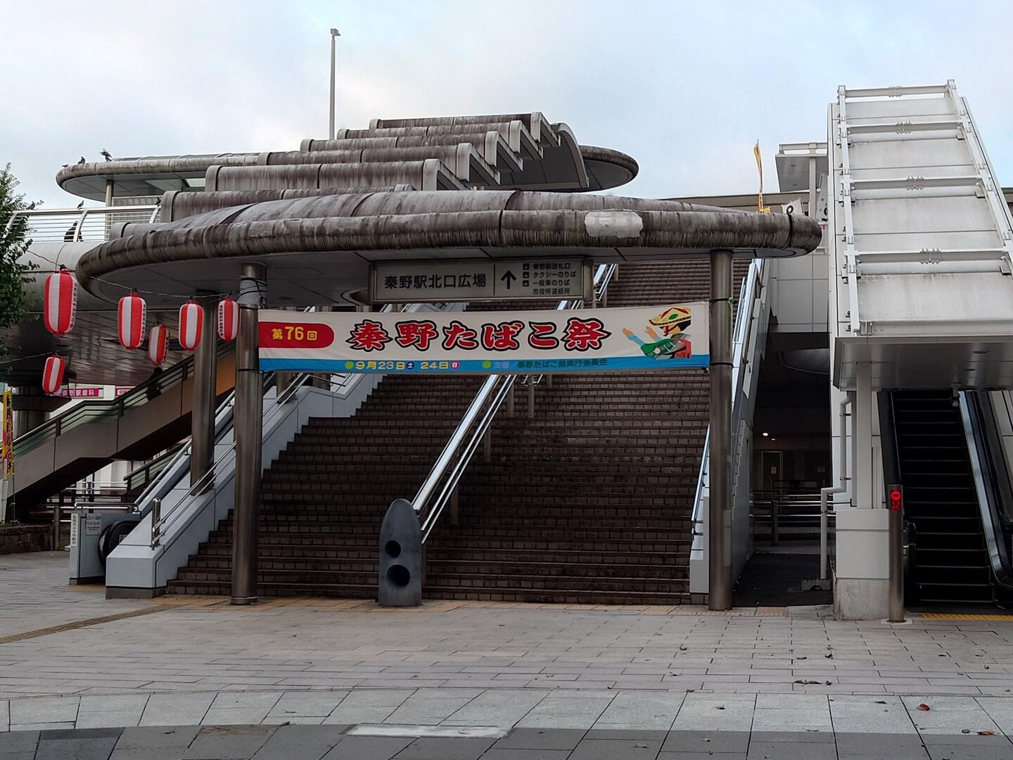 浅間山〜大山にかけて縦走(の予定だったもの) / seironさんの大山の活動データ | YAMAP / ヤマップ