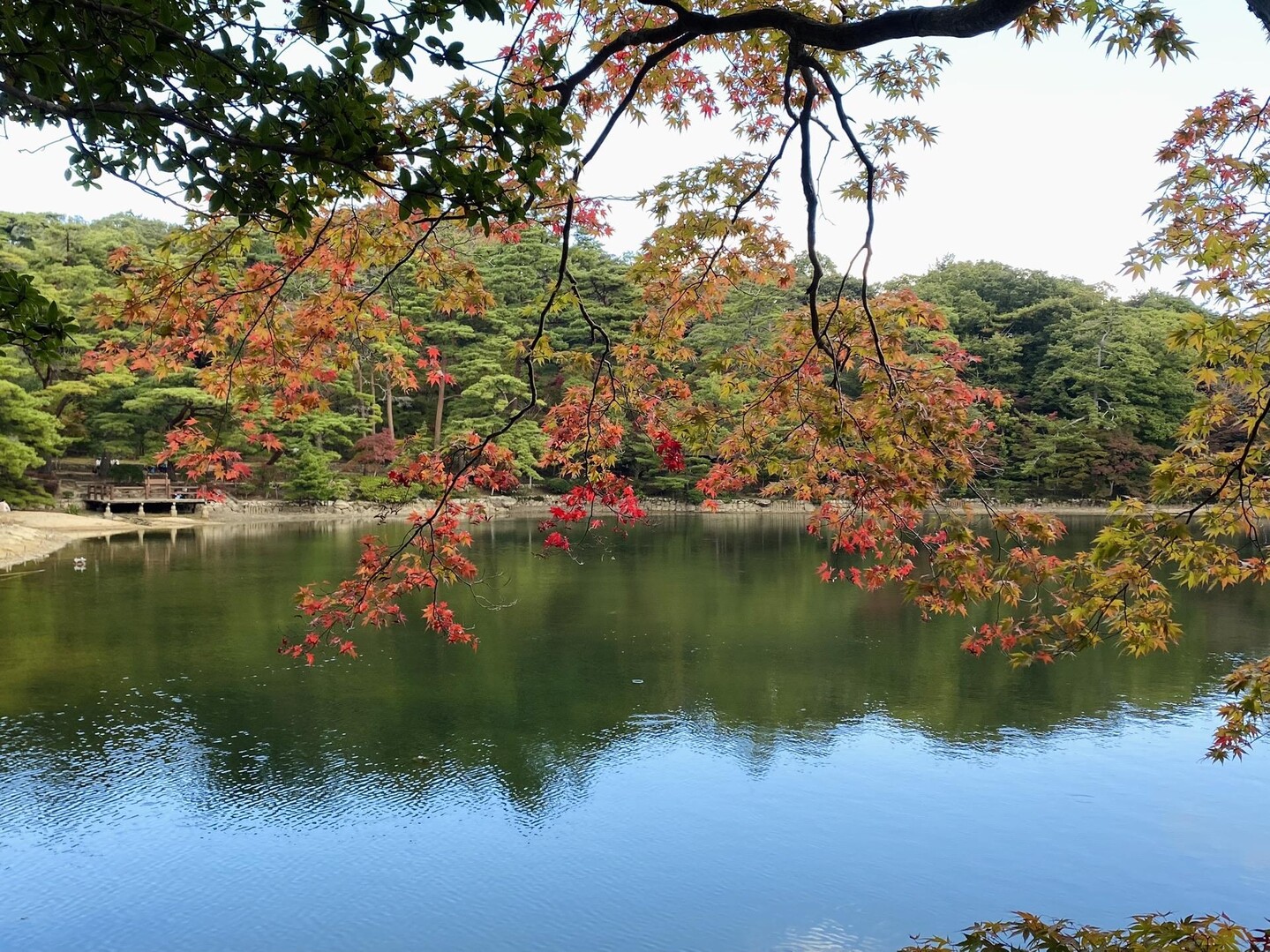 🍁秋色の森林植物園〜再度山〜再度山荘🍁 / クー0504さんの六甲山・長峰山・摩耶山の活動データ | YAMAP / ヤマップ