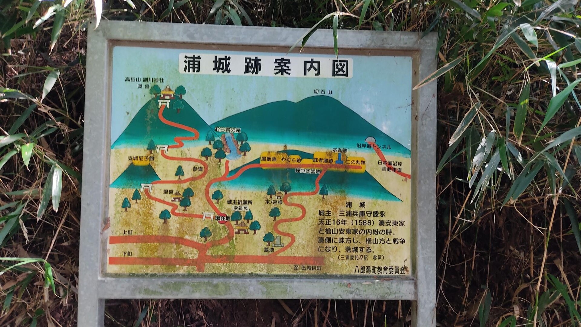 高岳山 / 猫ちゃんさんの森山・高岳山の活動日記 | YAMAP / ヤマップ