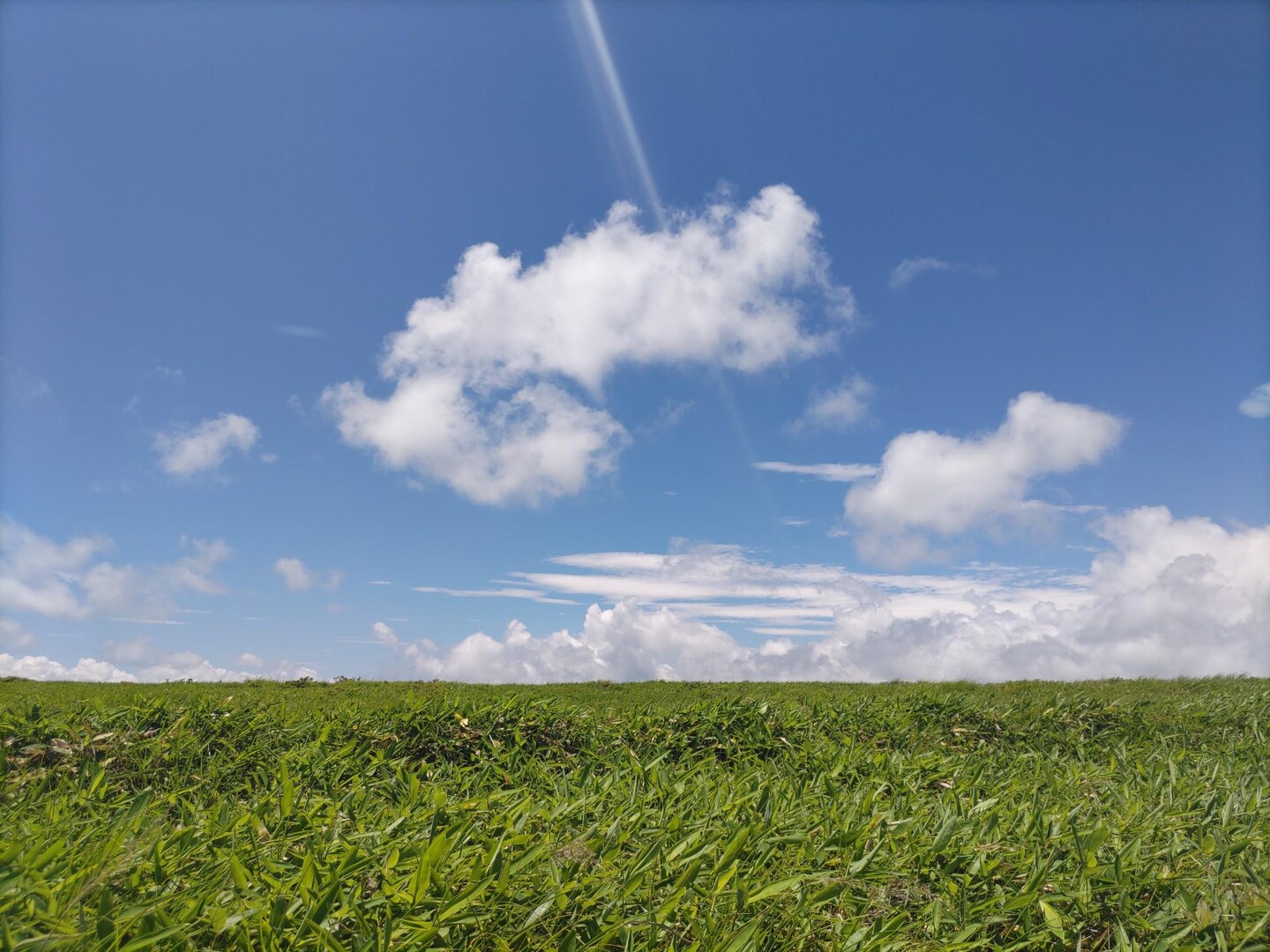 蝶々深山・霧ヶ峰（車山）・南の耳・北の耳・男女倉山 / yskさんの霧ヶ峰・車山・大笹峰の活動データ | YAMAP / ヤマップ