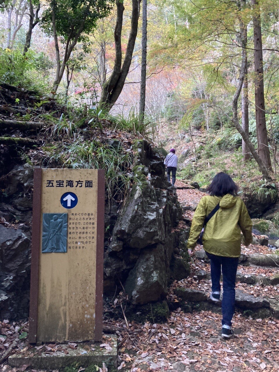 天気が良いのに半日仕事。 今日は珍しく夕... / 塾長さんのモーメント | YAMAP / ヤマップ