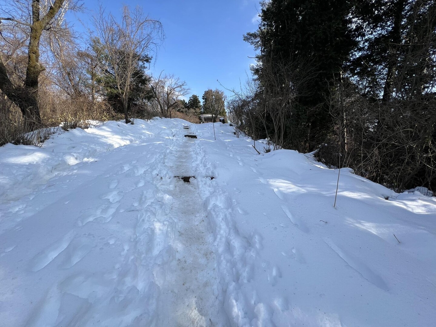 景信山•城山•高尾山 / kalo_zzzさんのウォーキングの活動データ | YAMAP / ヤマップ