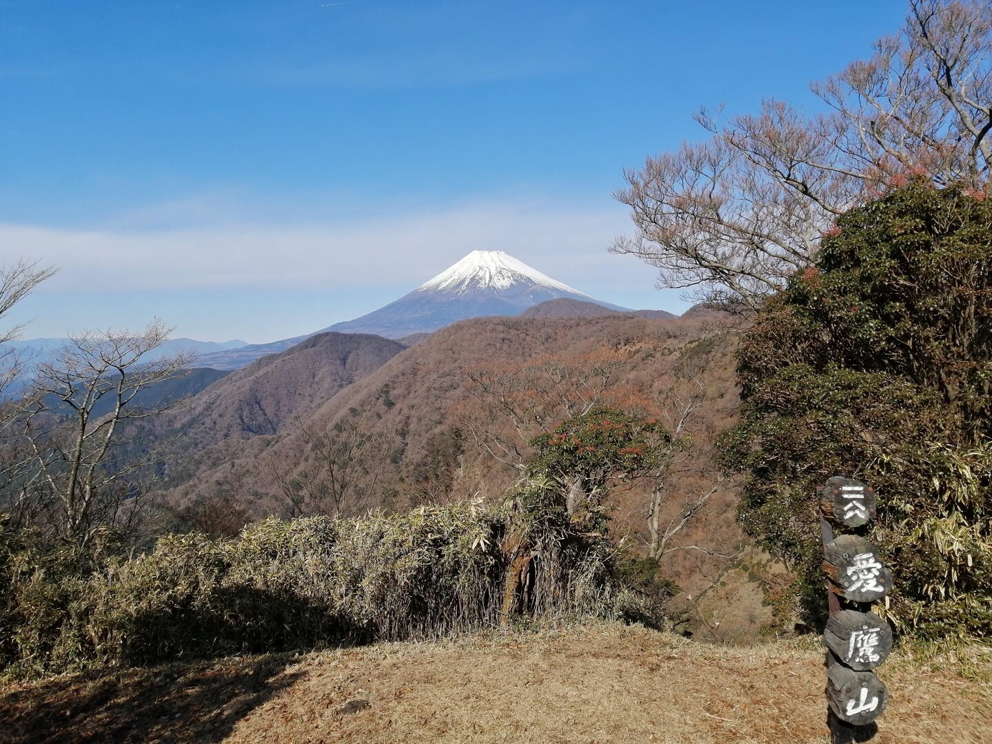 愛鷹山 / K2.Rさんの愛鷹山・大岳・黒岳の活動データ | YAMAP / ヤマップ