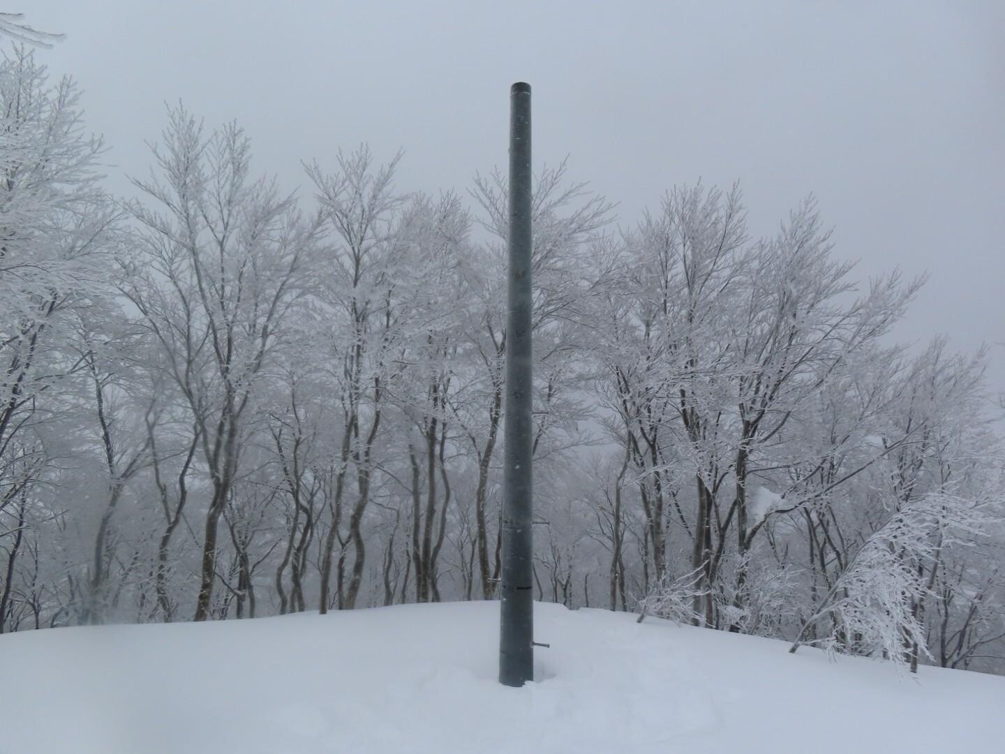 定高山☃️ / kikuさんの二王子岳の活動データ | YAMAP / ヤマップ