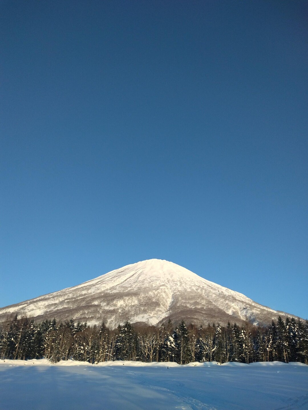 羊蹄山 再び / 2053mさんの羊蹄山（蝦夷富士）の活動データ | YAMAP / ヤマップ