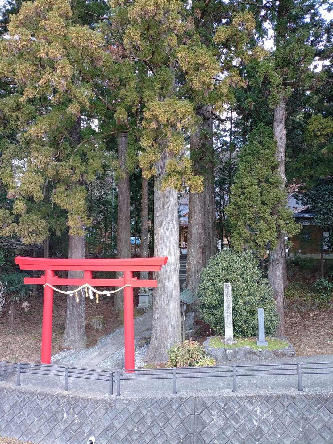 須山浅間神社に雪がパラパラ舞っていました... / AYUおやじさんのモーメント | YAMAP / ヤマップ