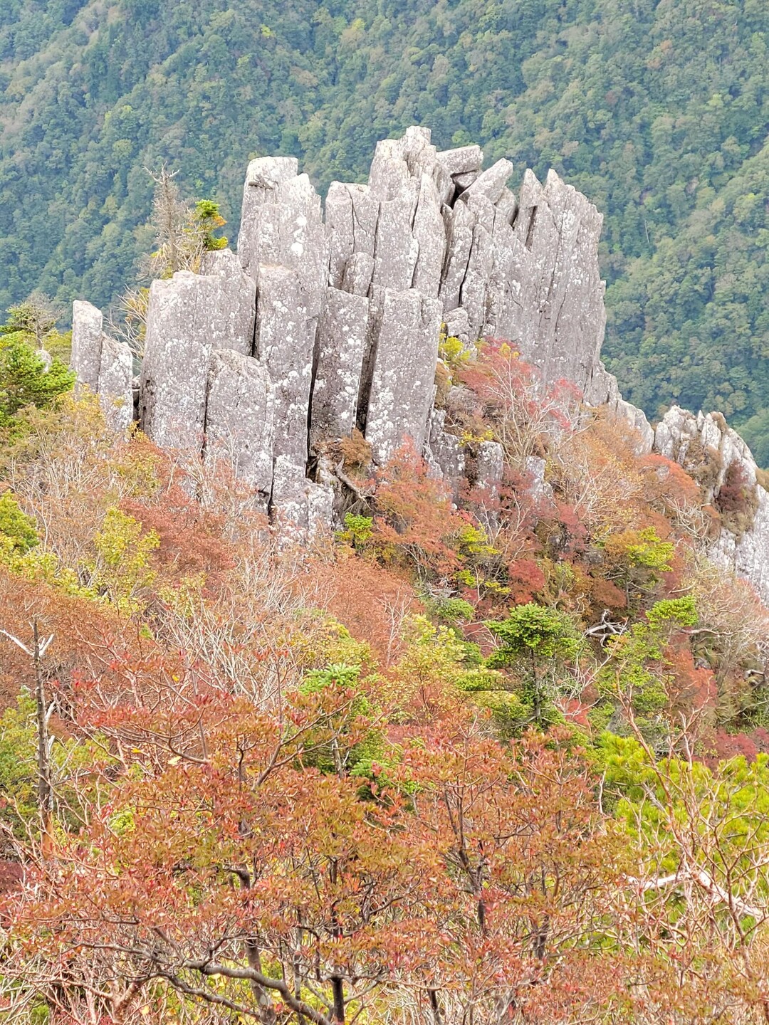 東陵ルート再び、そして墓場尾根へ / みかりんさんの石鎚山・堂ヶ森・二ノ森の活動データ | YAMAP / ヤマップ