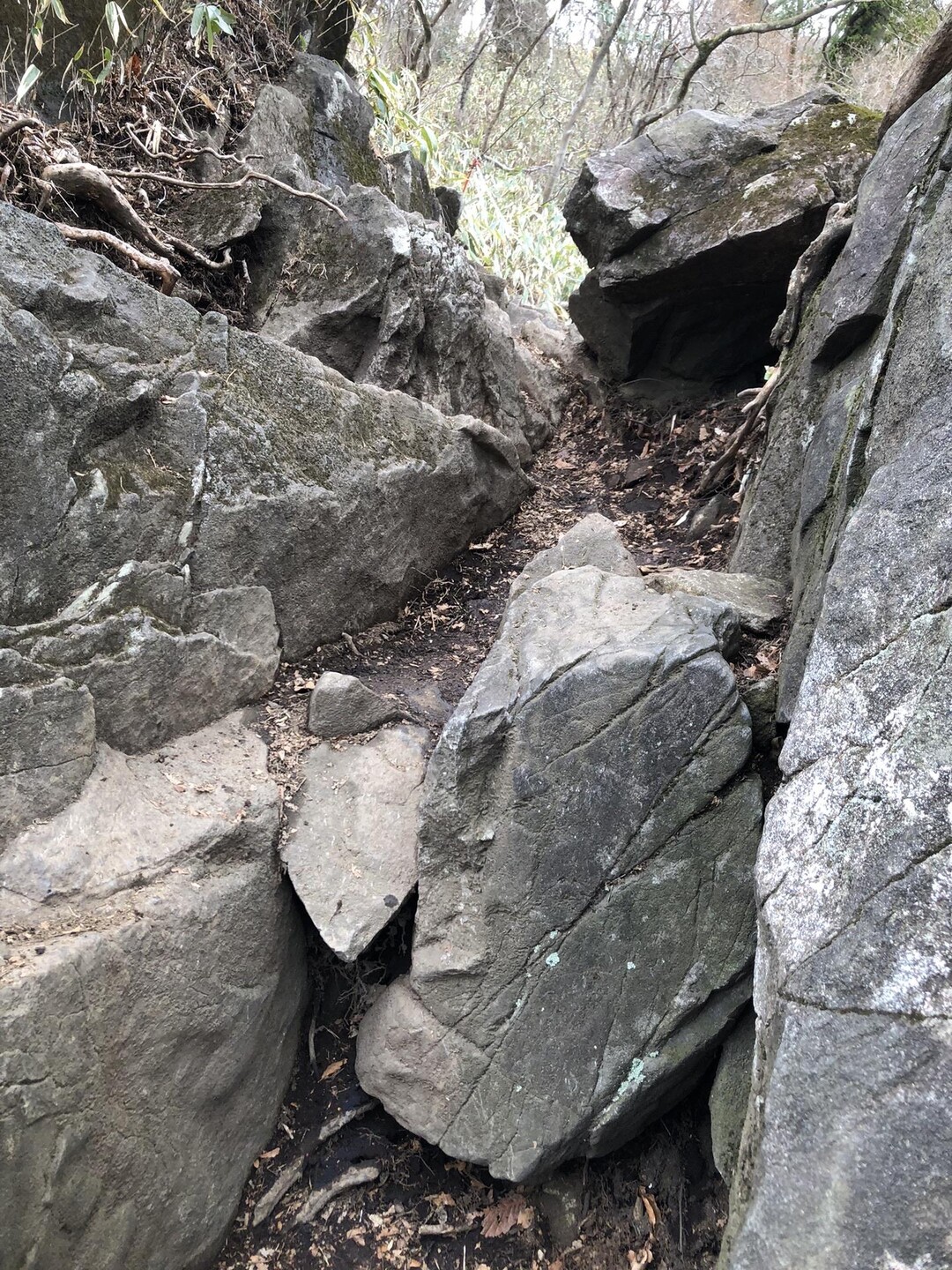 椎尾山・坊主山・筑波山（男体山）・筑波山（女体山） / FujiHiroさんの筑波山の活動データ | YAMAP / ヤマップ