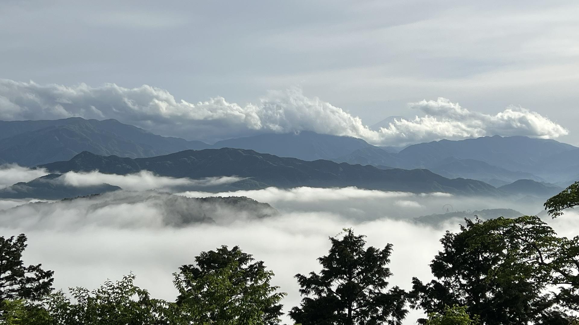 高尾山 / hanさんの高尾山・陣馬山・景信山の活動データ | YAMAP / ヤマップ