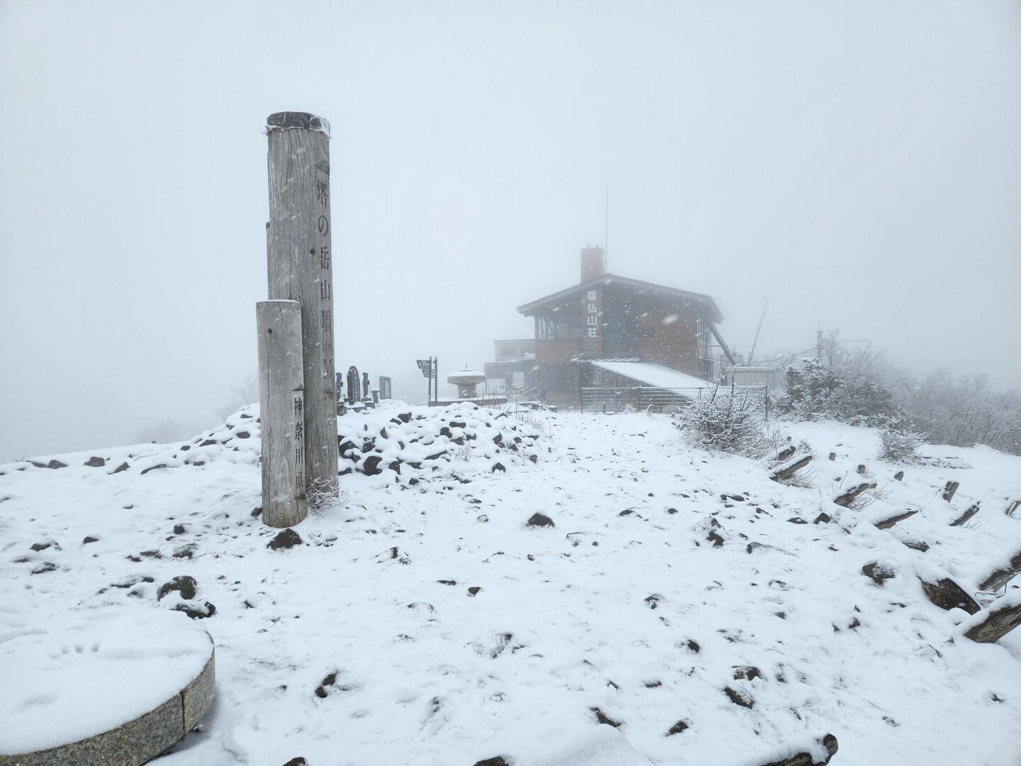 塔ノ岳 / kawanobuさんの塔ノ岳・丹沢山・蛭ヶ岳の活動データ | YAMAP / ヤマップ