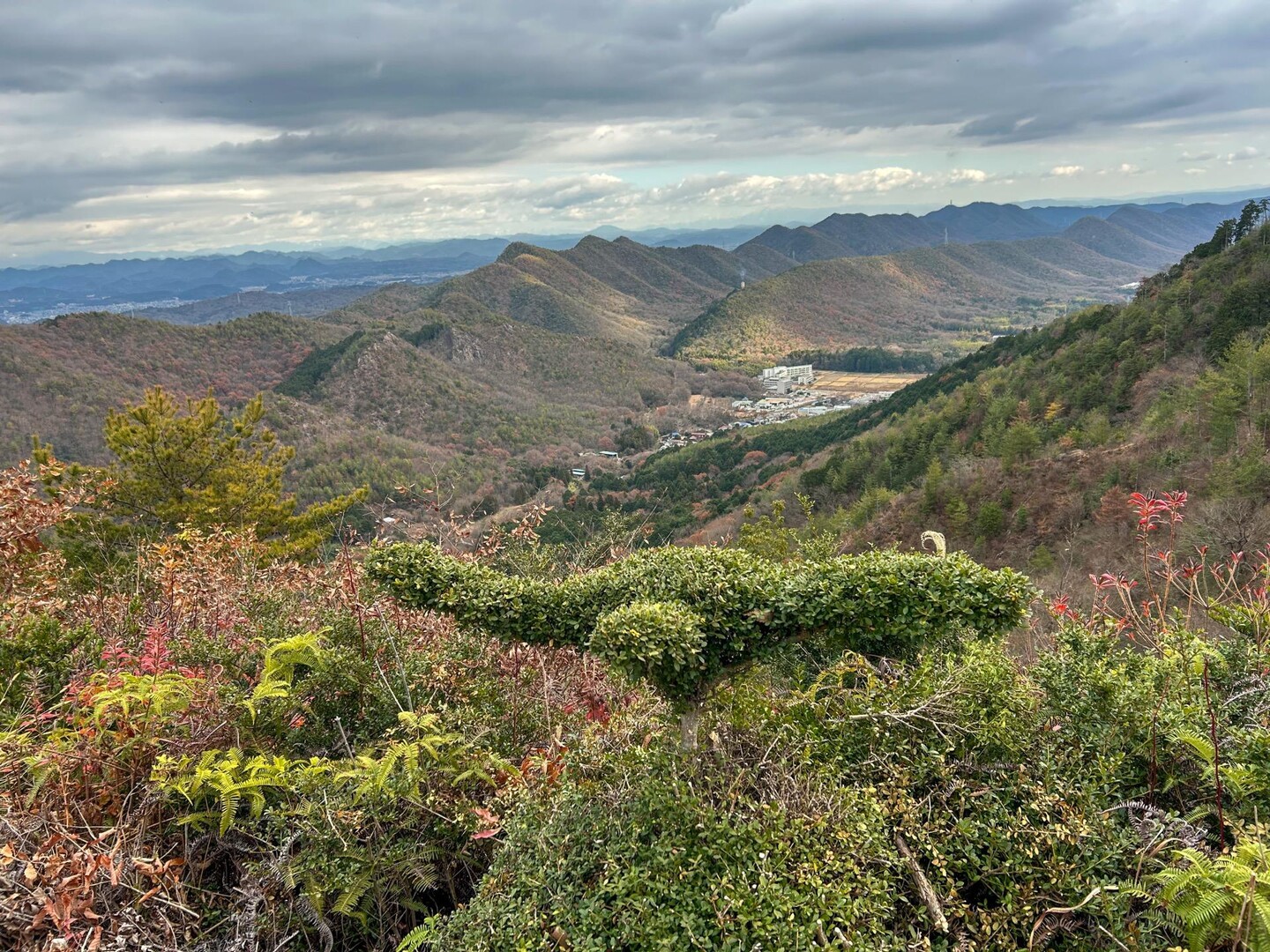 各務原権現山・北山・岩滝白山 / yuriさんの各務原アルプス（関南アルプス）・八木三山の活動データ | YAMAP / ヤマップ