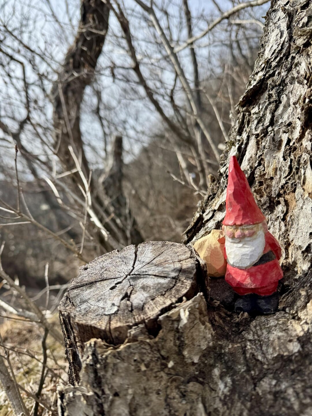 水沢山 2024年登り納め / さいかず2002さんの榛名山・天狗山・天目山の活動データ | YAMAP / ヤマップ