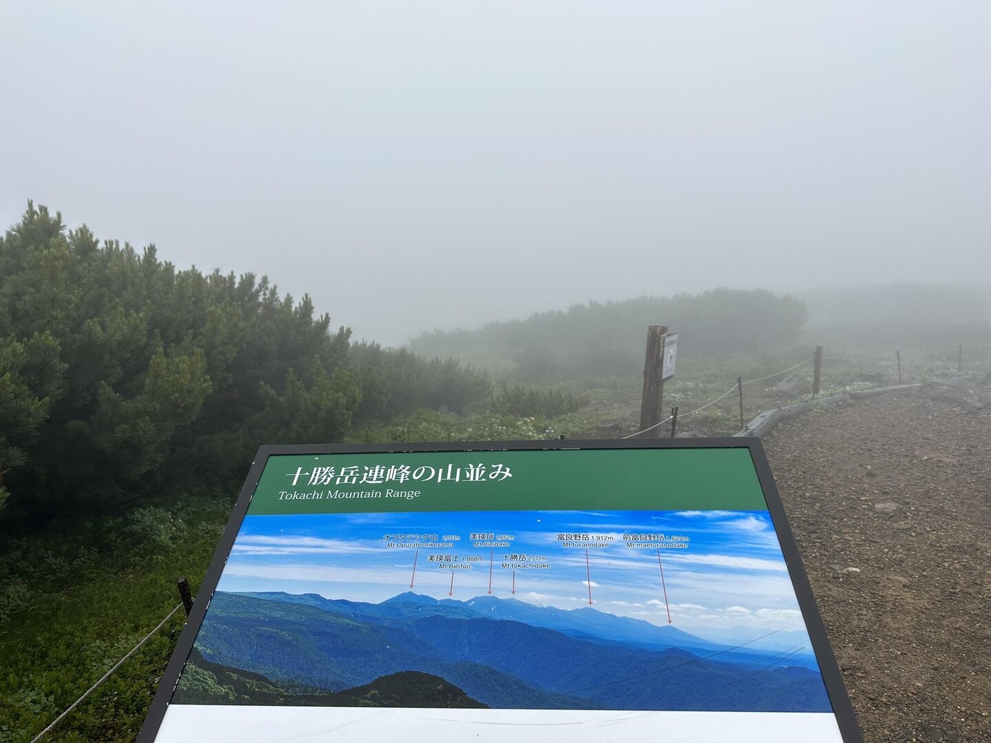 旭岳IHプレ③ / ぼけぼけいさんの大雪山系・旭岳・トムラウシの活動日記 | YAMAP / ヤマップ