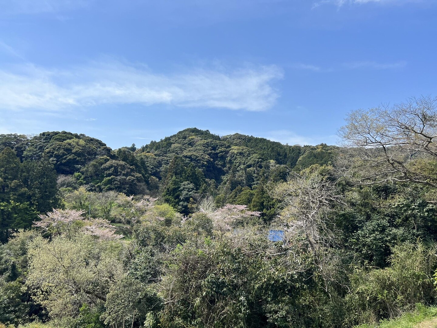 秋葉山 224m / さいさいさんの烏場山・花嫁街道・高鶴山の活動データ | YAMAP / ヤマップ