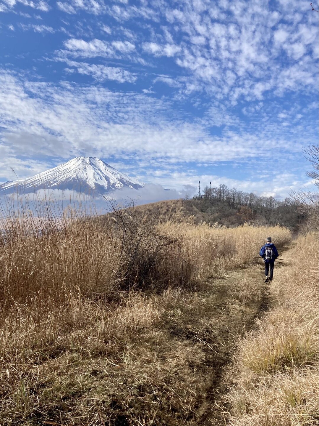 富士を見に石割山 / Mt.Mikiさんの御正体山・杓子山・石割山の活動データ | YAMAP / ヤマップ