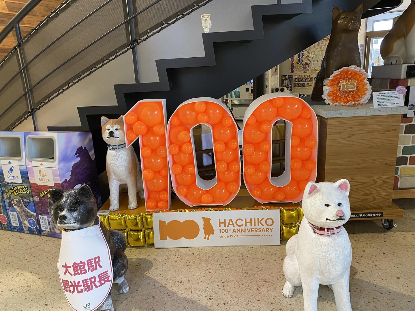 今年はハチ公生誕100周年です！ 犬好き... / フジナオさんのモーメント | YAMAP / ヤマップ