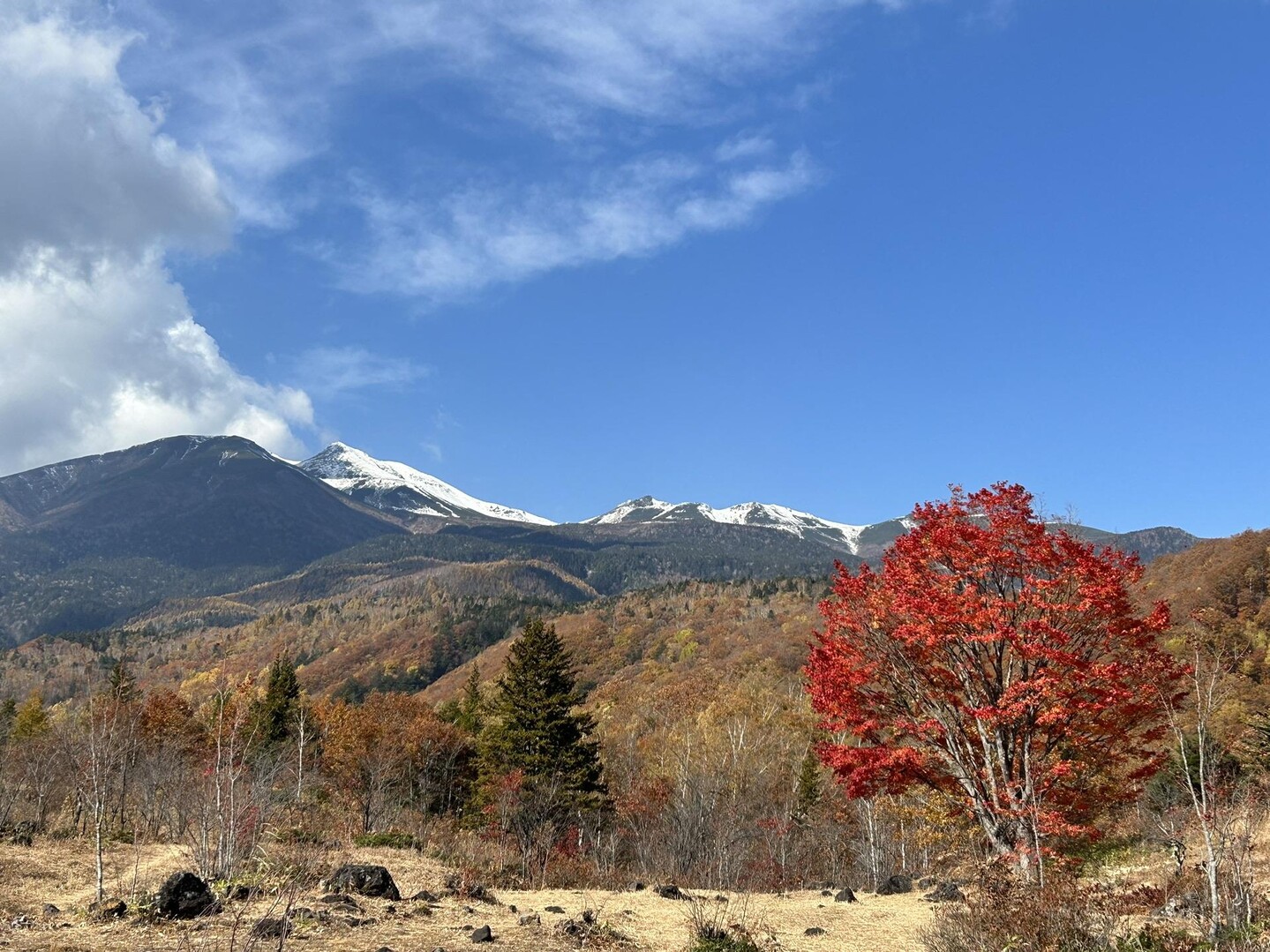 リスタートは紅葉ハント 乗鞍高原 / あきTRさんの乗鞍岳の活動データ | YAMAP / ヤマップ