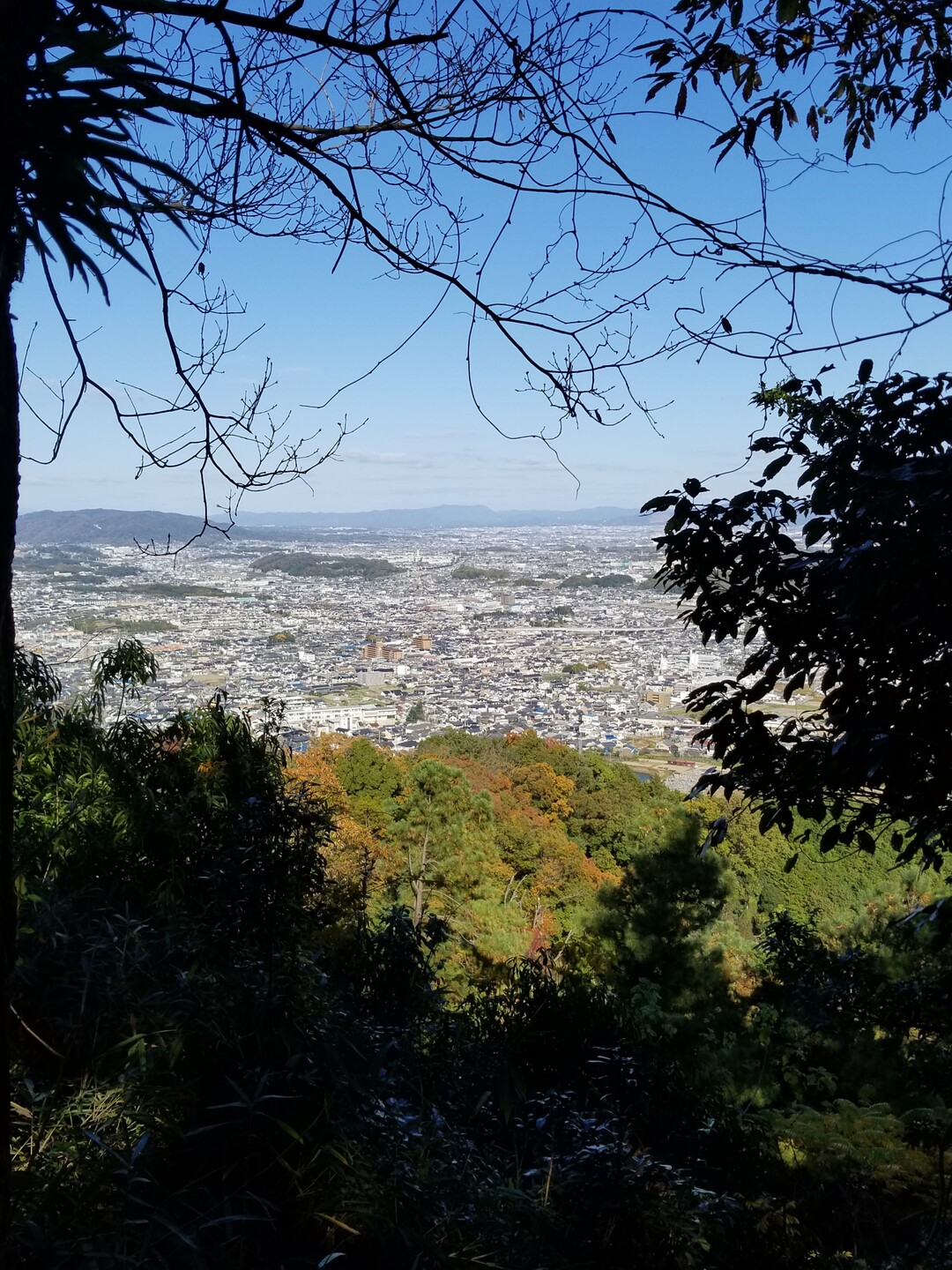 2020.11.21(土) 13:24 / ayaponさんのモーメント | YAMAP / ヤマップ