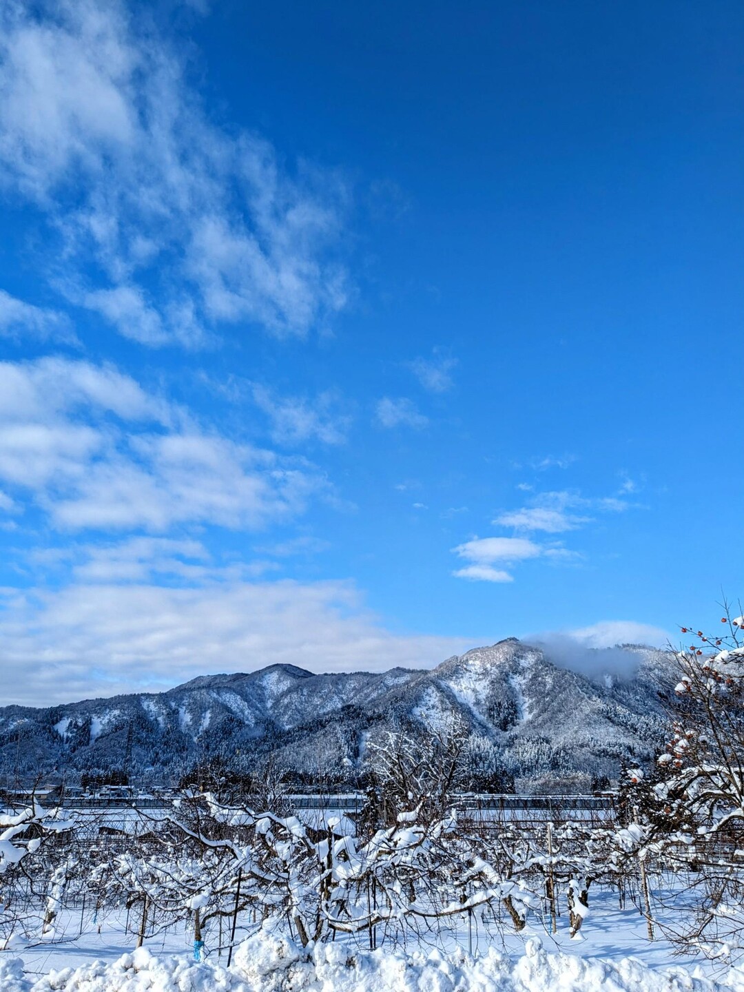 標高777m東鳥海山 / すのうさんの東鳥海山の活動データ | YAMAP / ヤマップ
