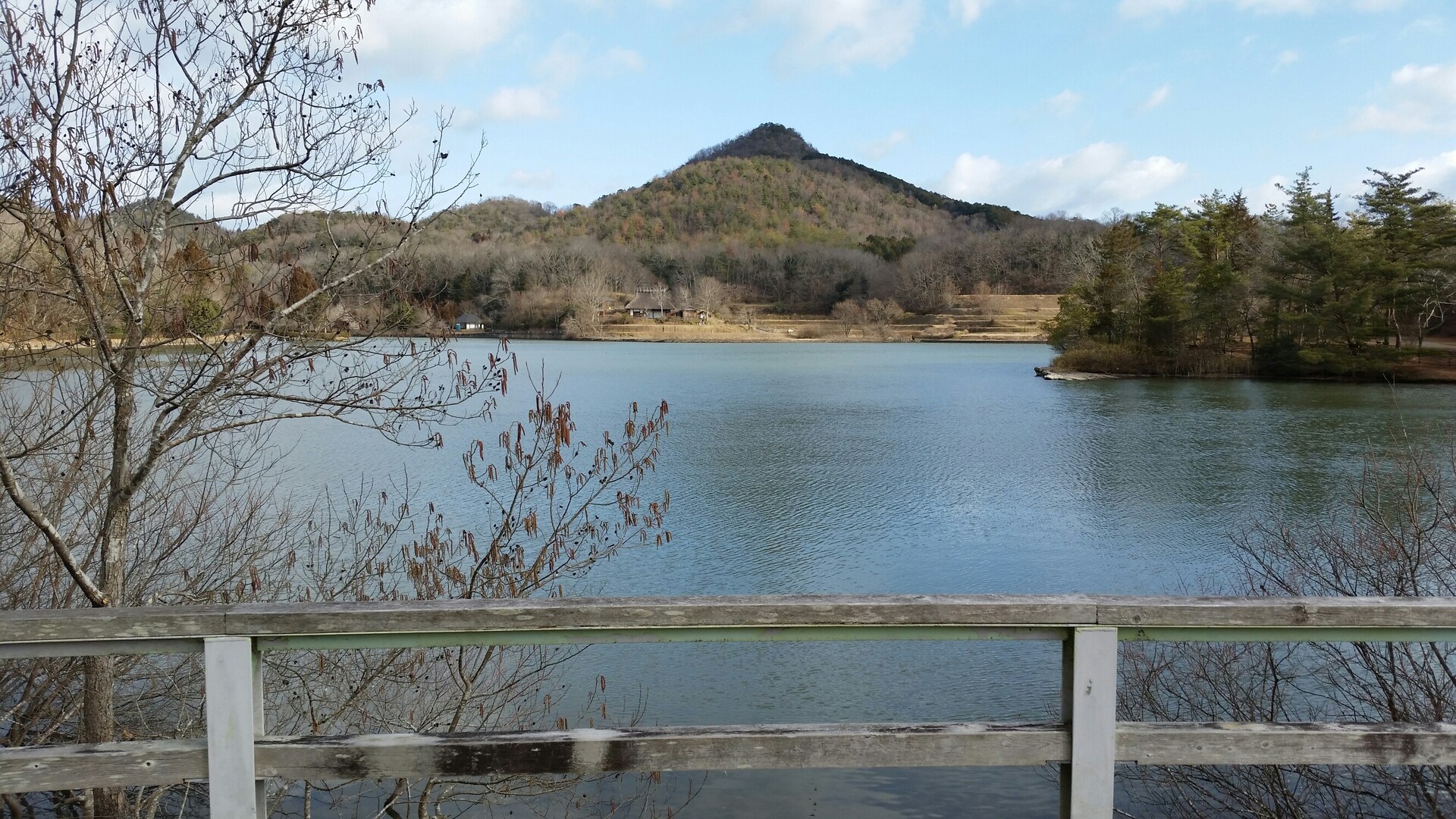 有馬富士 / hisashiさんの千丈寺山・てんぐの森の活動データ | YAMAP / ヤマップ