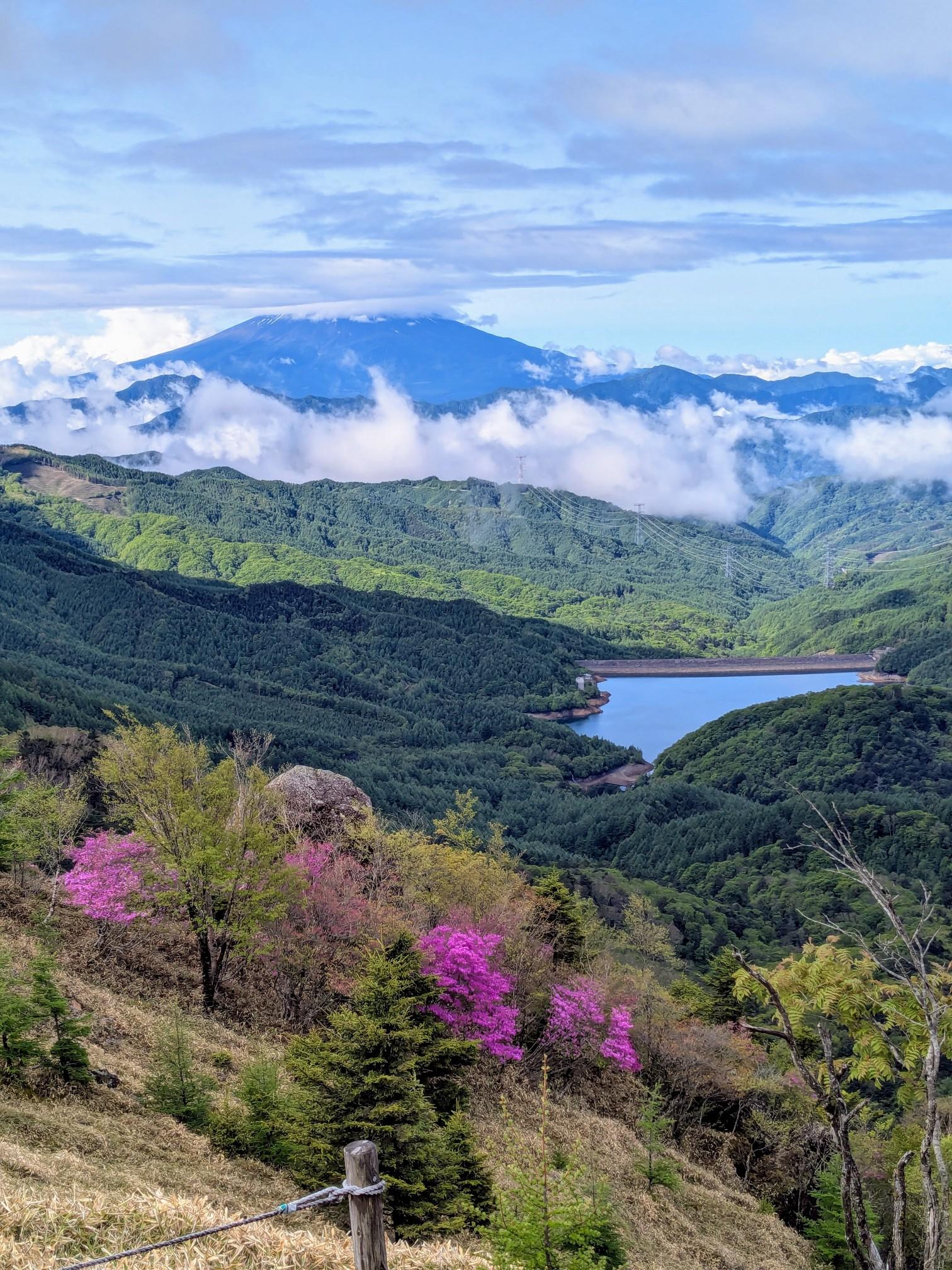 大菩薩嶺・親不知ノ頭・熊沢山 / maaさんの大菩薩嶺・鶏冠山・大マテイ山の活動データ | YAMAP / ヤマップ