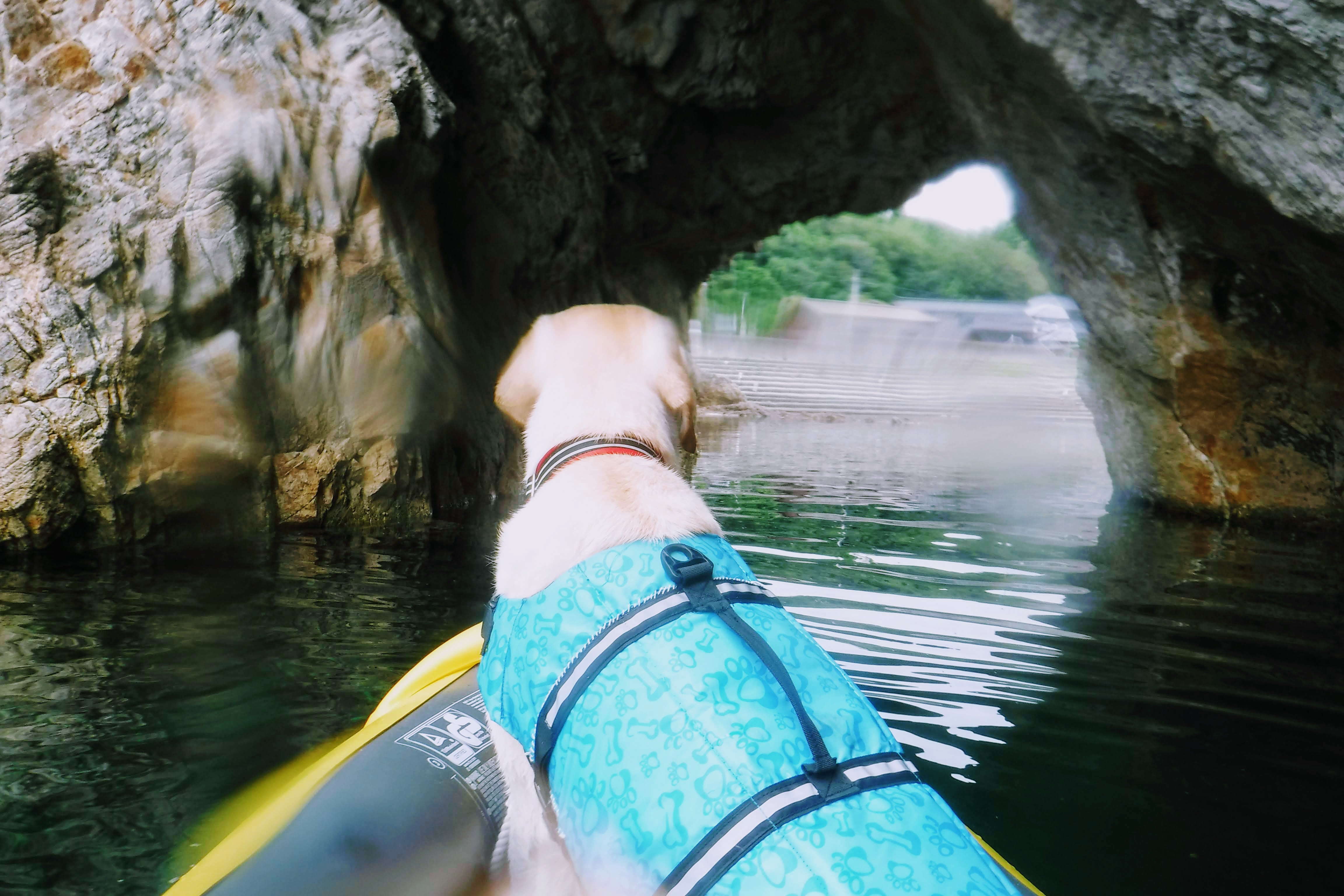 SHIMAP佐渡ヶ島①尖閣湾 🛶思い出の海へ / おちもりさんの佐渡島の活動日記 | YAMAP / ヤマップ
