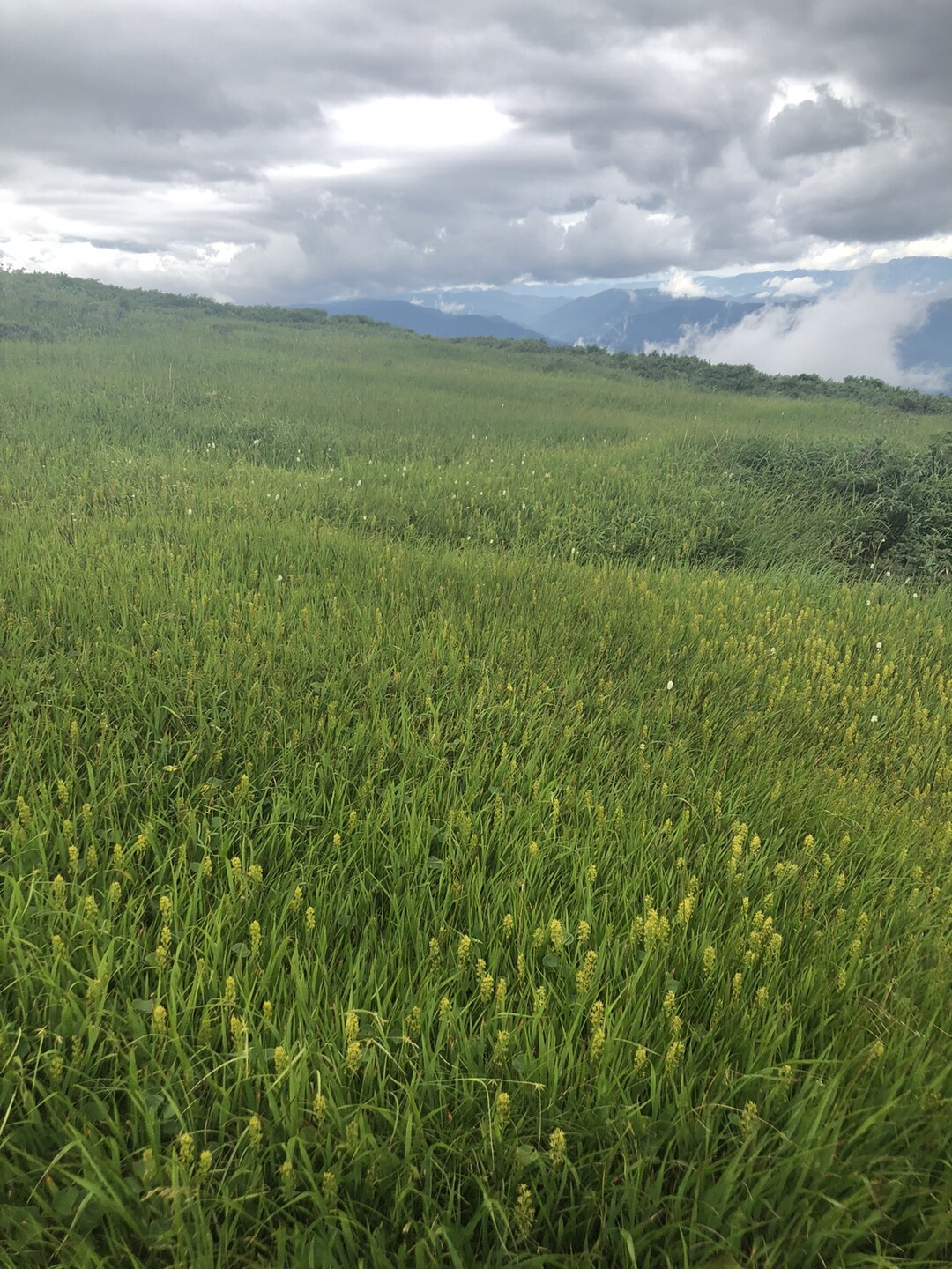 出羽三山！ 月山はとても良い山でした / manaさんのモーメント | YAMAP / ヤマップ