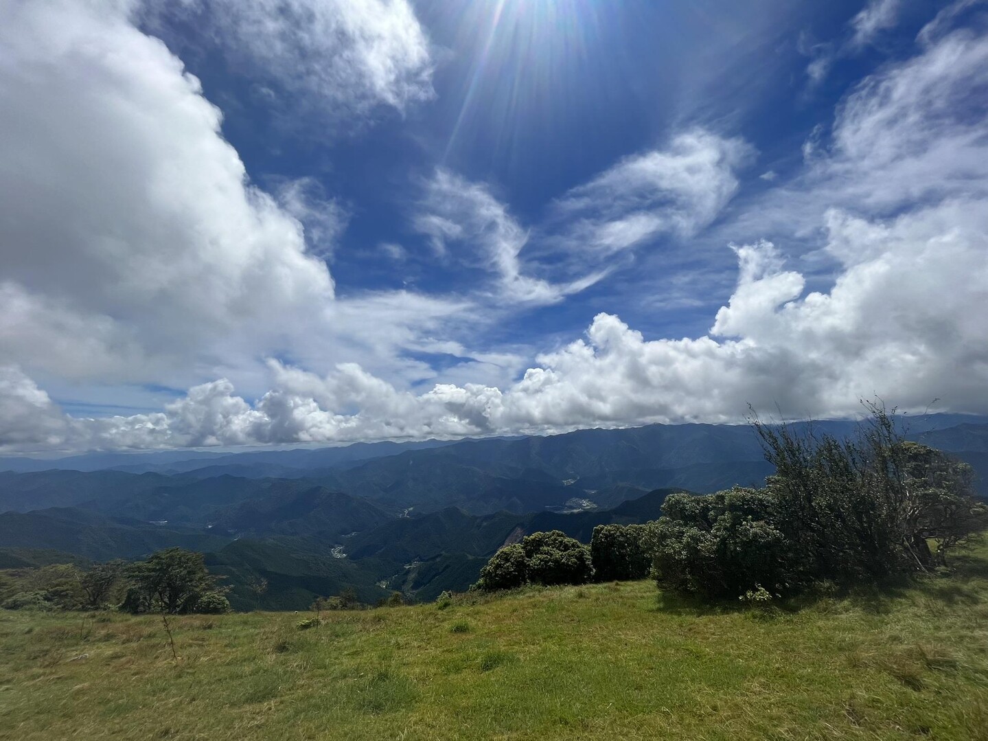 三峰山 / hacoさんの三峰山・学能堂山・栗ノ木岳の活動データ | YAMAP / ヤマップ