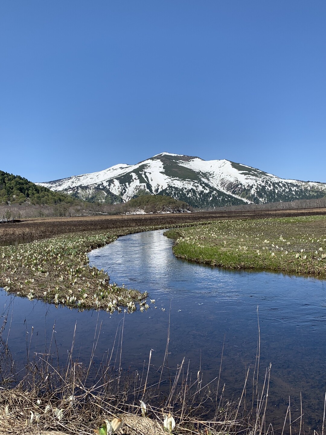 2022年5月23日 尾瀬ヶ原 初の東電... / ReBu939さんのモーメント | YAMAP / ヤマップ