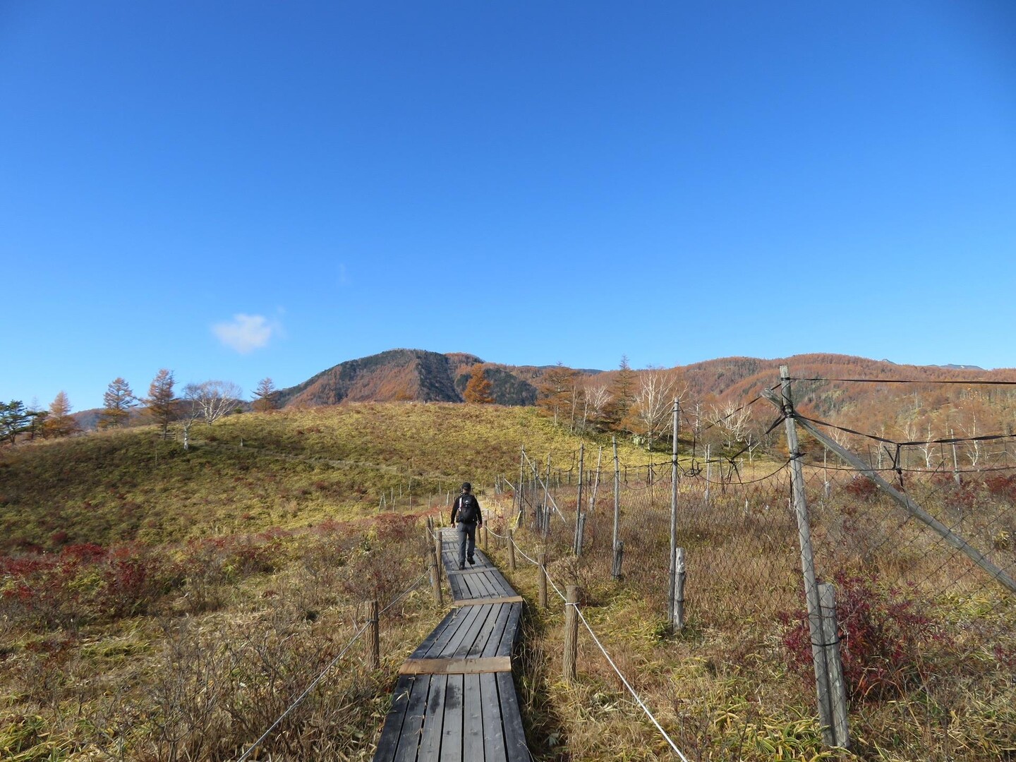 甘利山でキャンプ登山 / sentiさんの鳳凰山・地蔵岳・観音岳・薬師岳の活動データ | YAMAP / ヤマップ