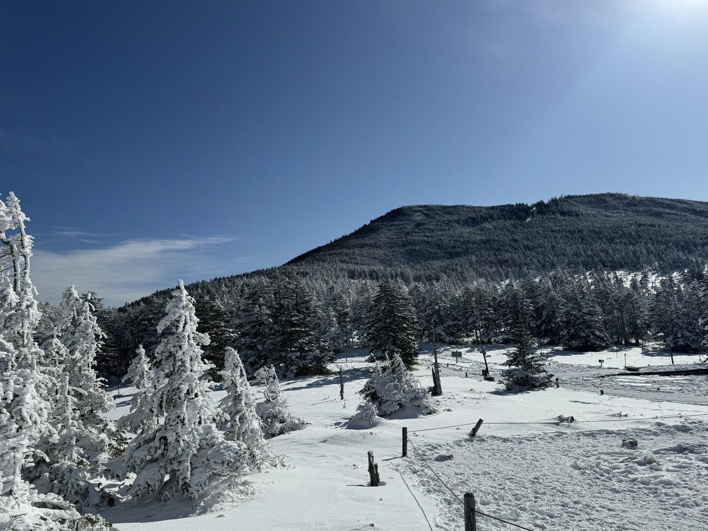 初 ️12本アイゼン【北横岳・縞枯山】 / LEOさんの蓼科山・横岳・縞枯山の活動データ | YAMAP / ヤマップ