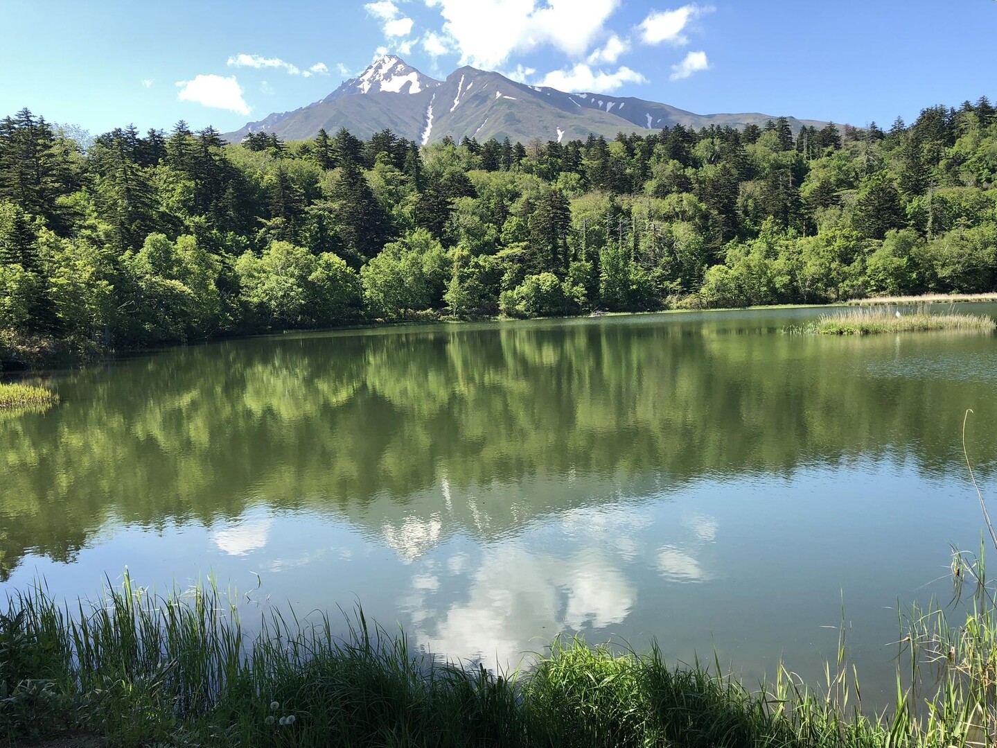 ポン山〜姫沼 / aiさんの利尻山（利尻富士）の活動データ | YAMAP / ヤマップ