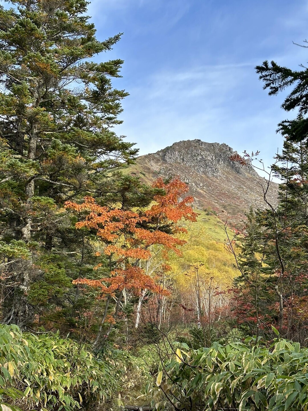 焼岳（北峰） / ツジPONさんの槍ヶ岳・穂高岳・上高地の活動データ | YAMAP / ヤマップ