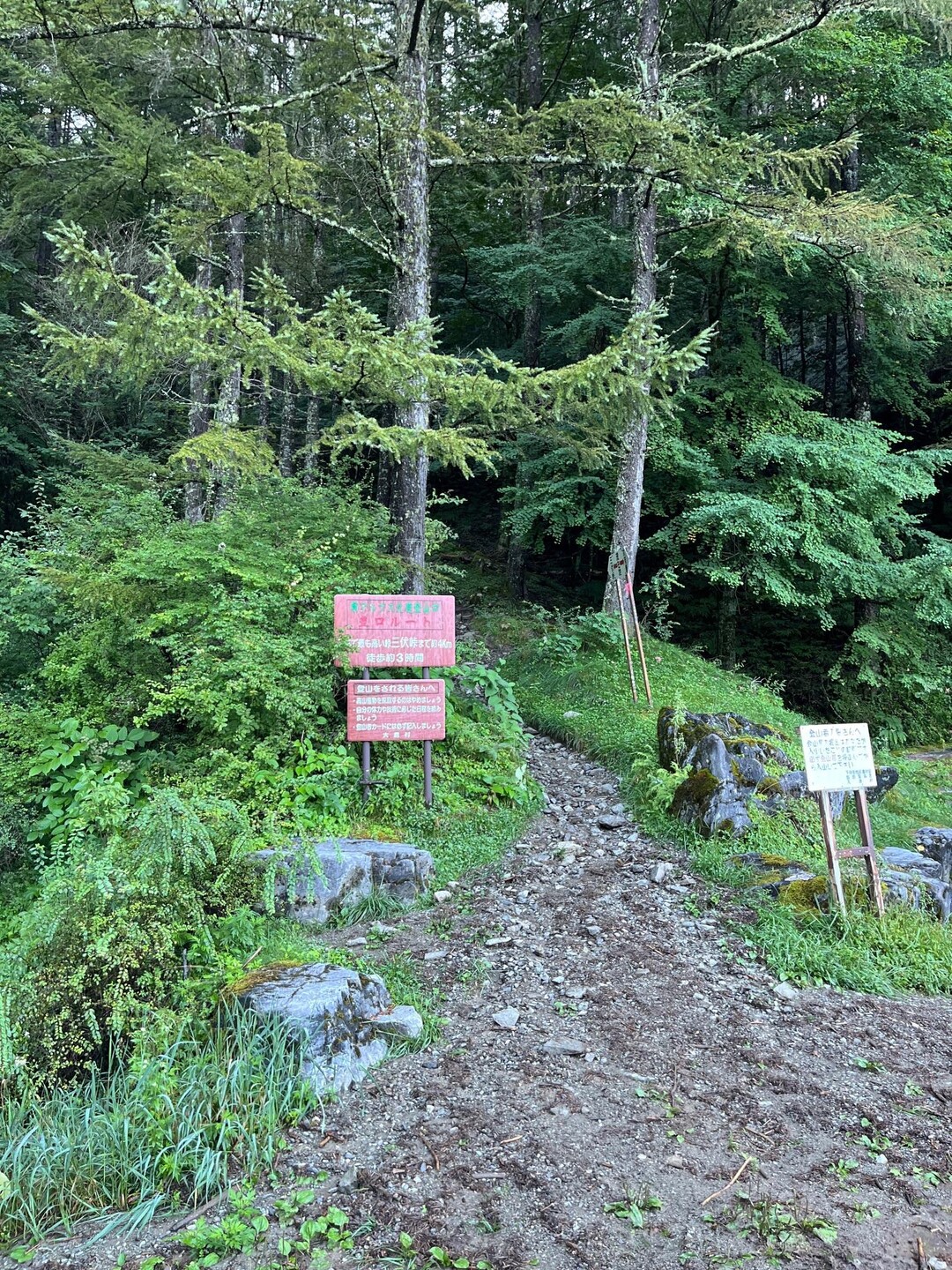 三伏山・本谷山・塩見岳・塩見岳（東峰）・烏帽子岳 / ちかぽんさんの塩見岳・権右衛門山・蝙蝠岳の活動データ | YAMAP / ヤマップ
