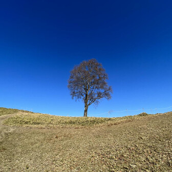 まいけのページ | YAMAP / ヤマップ