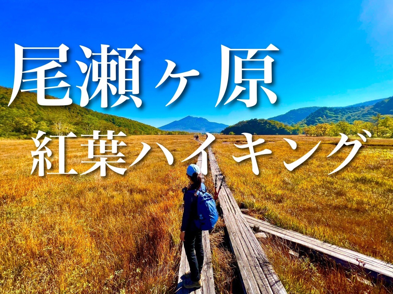 先日尾瀬ヶ原に行った時の動画を作りました... / Georgeさんのモーメント | YAMAP / ヤマップ